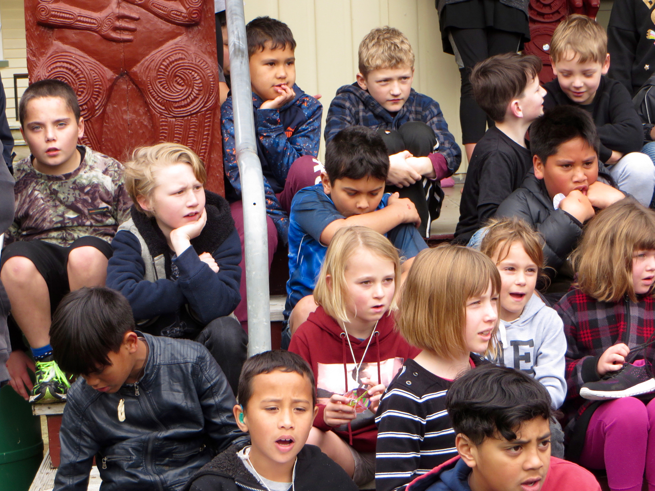 Room 3 Firth Primary School