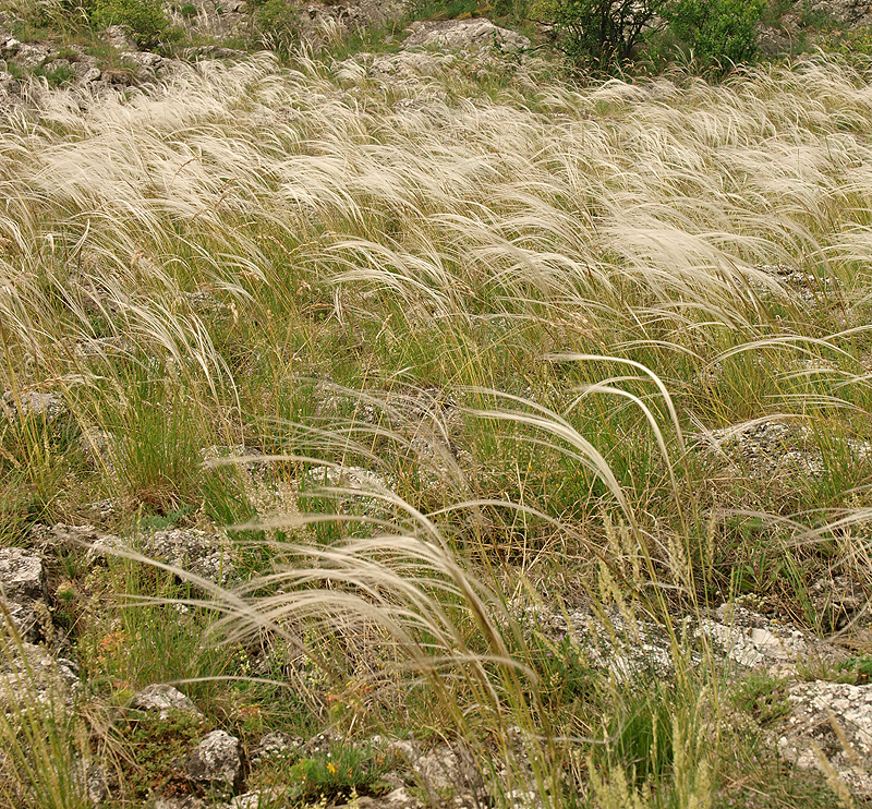 FotoBlogul lui Mihai C.: Colilia din Cheile Tureni