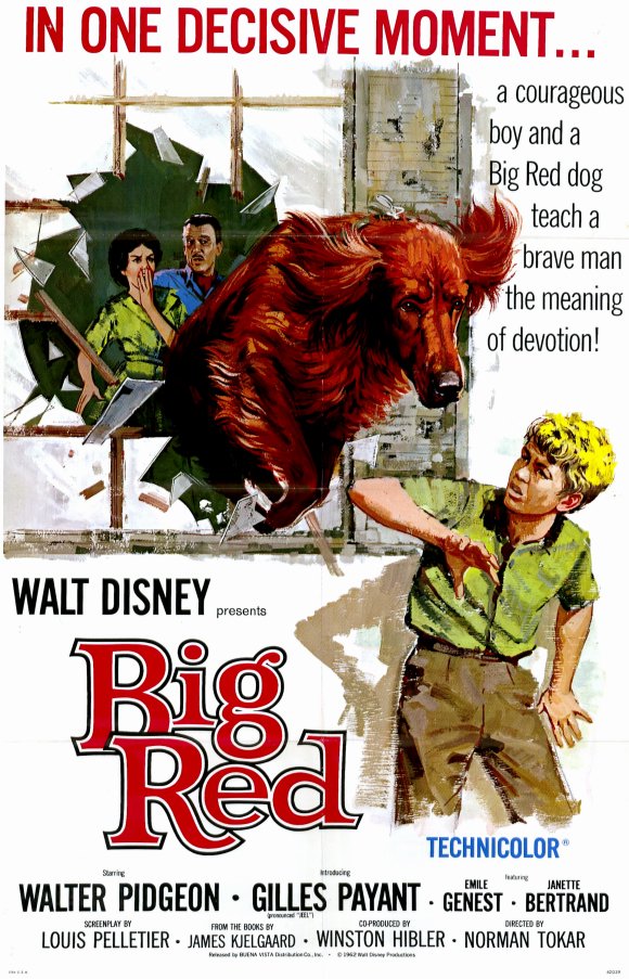 The Disney Films: Big Red - 1962