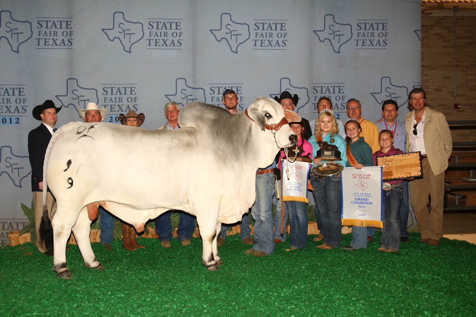 BrahmanUSA: 2012 National Brahman Show Results - Dallas, TX