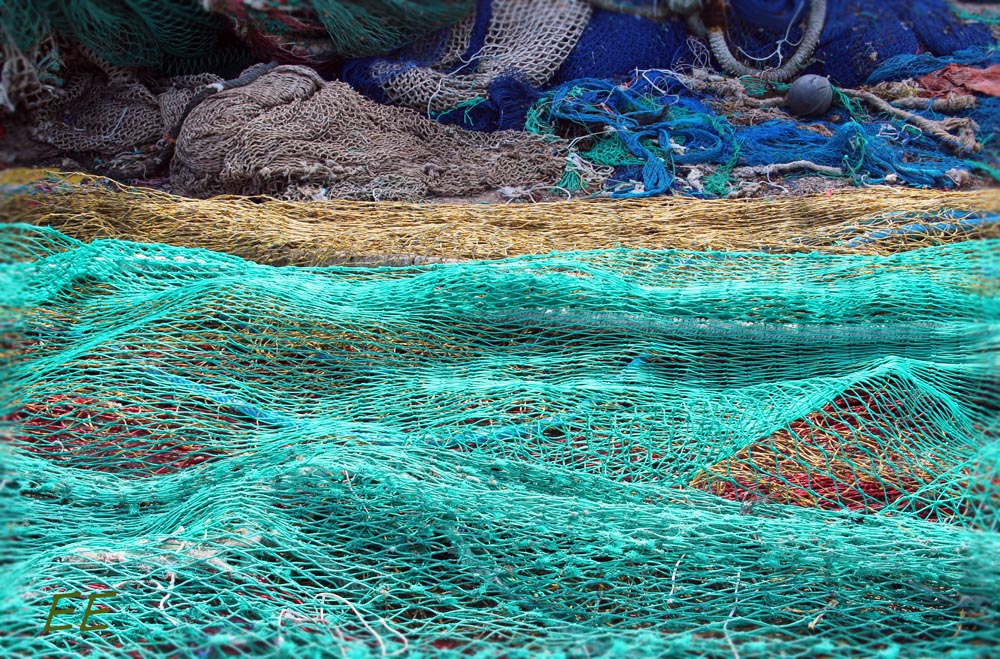 Buenos días Capitán: Mar de redes