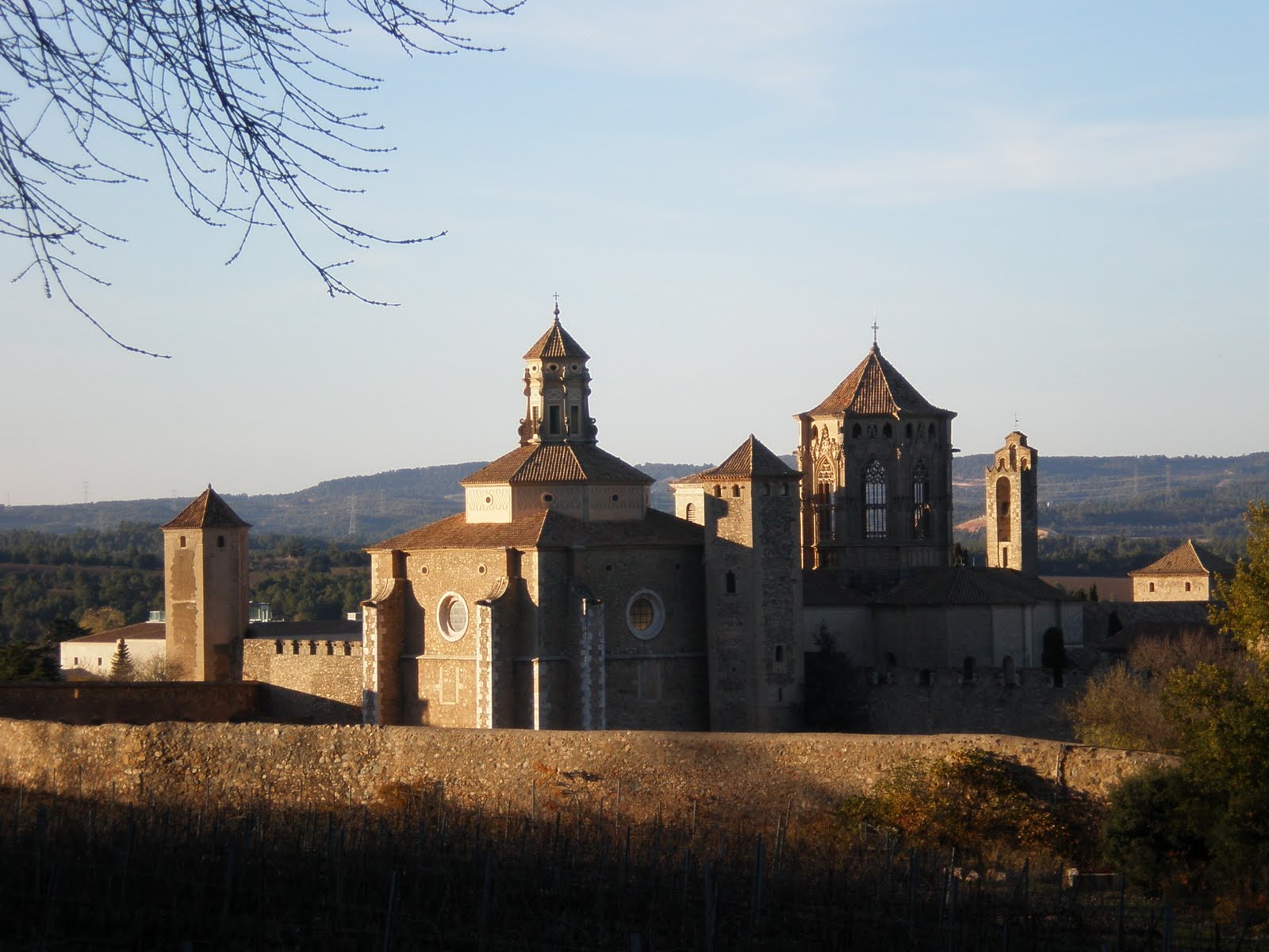 CAMINAR Y SENTIR: LA RUTA DEL CISTER