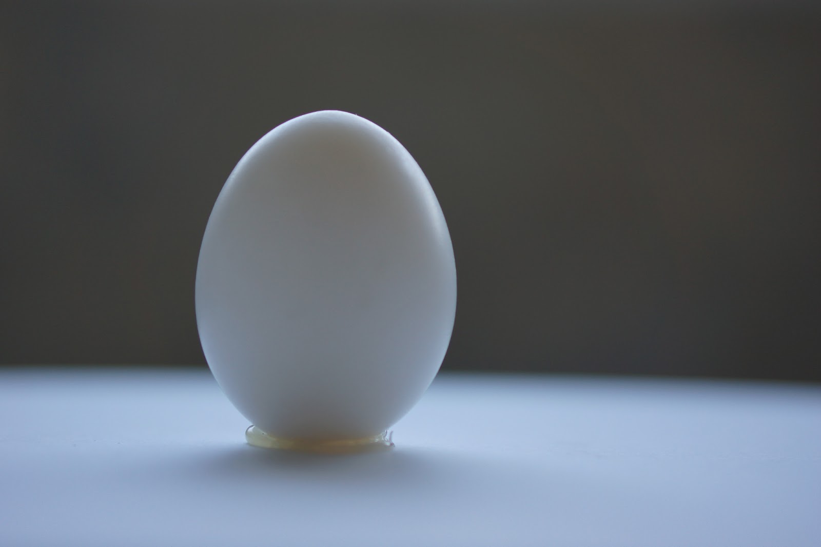 Denton Sanatorium: Photography Class--The Egg