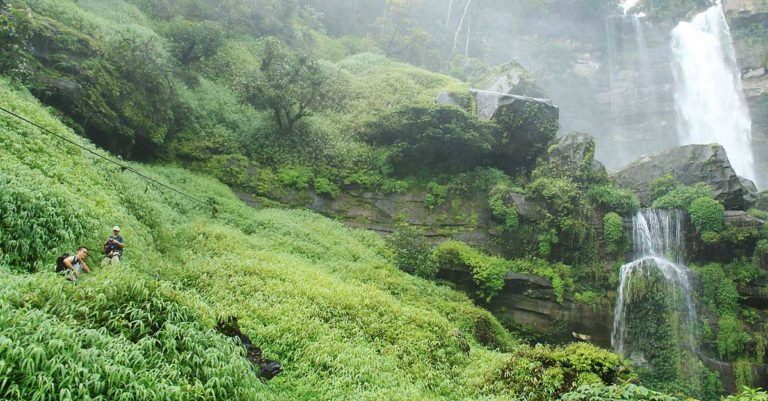 Gerrit Tienkamp (Peter.BKK) : Laos - Largest Forest in Xayaboury to be ...