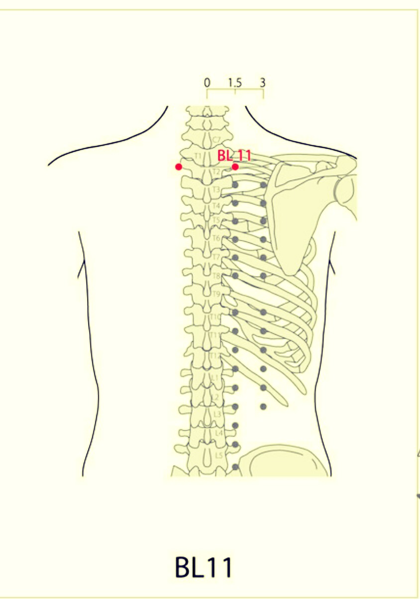 SaroEpic Acupuncture : influential points