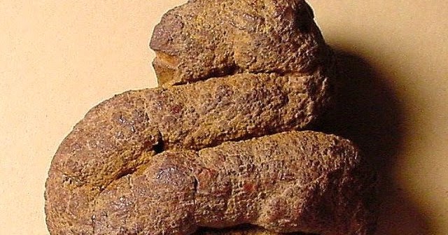 The Body Blog: Tales from the Poo...