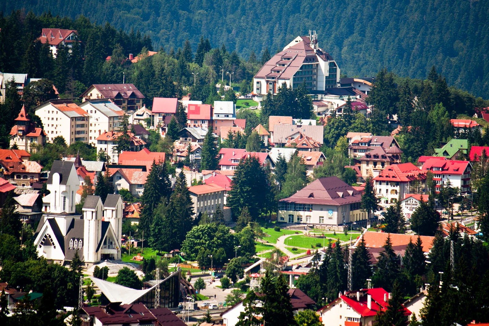 "Casa Cerbului" - Azuga: Casă de vacanță intimă, de familie: dotări ...