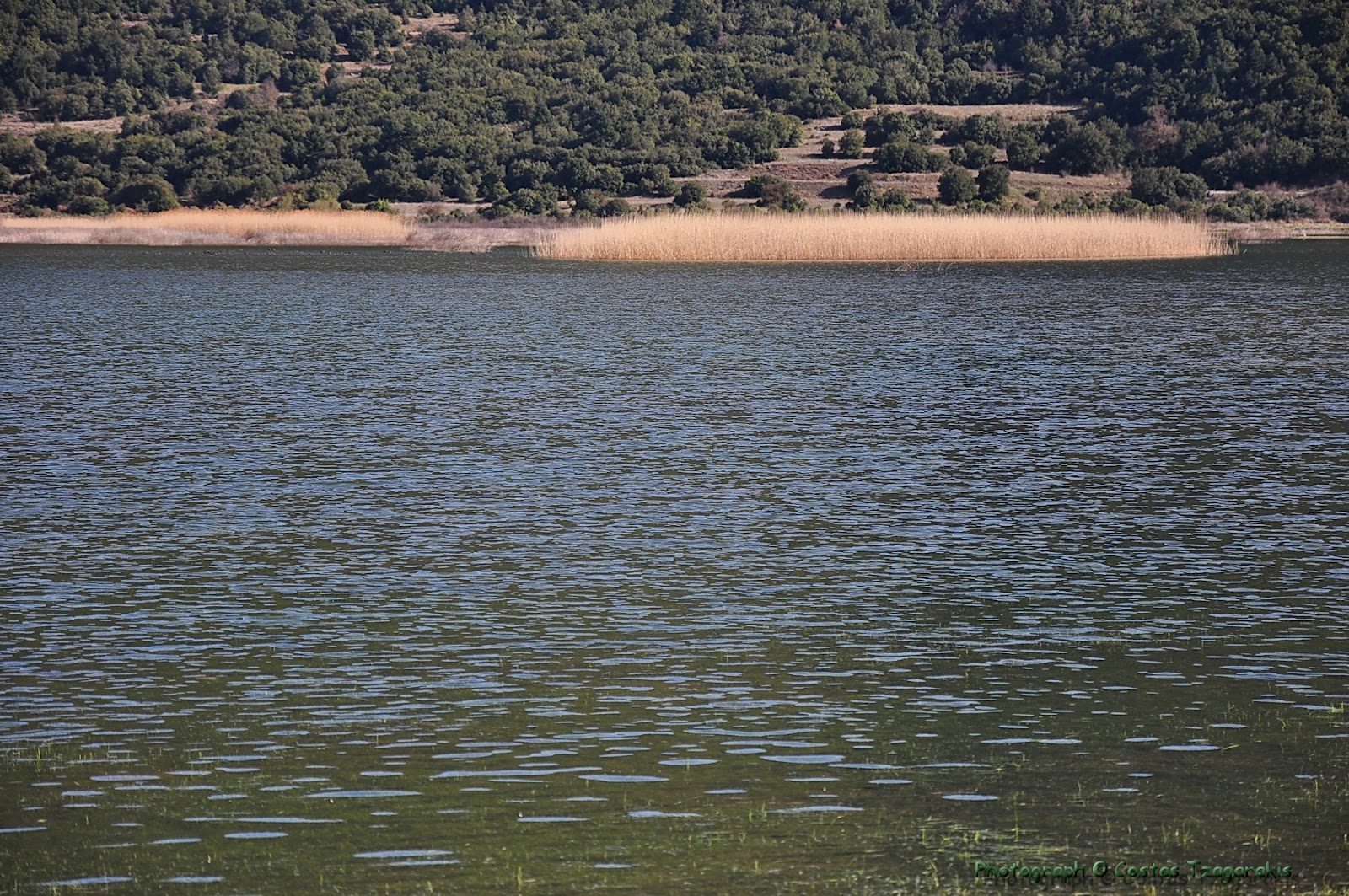 Nature Digital : Lake Stymfalia. Η Λίμνη Στυμφαλία.