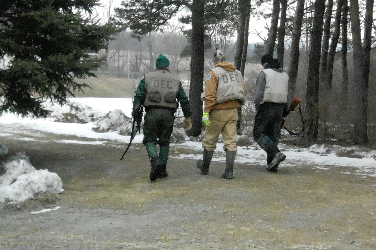 Backyard Beasts: Black Bear Den Season 2013 Part III: The final chapter