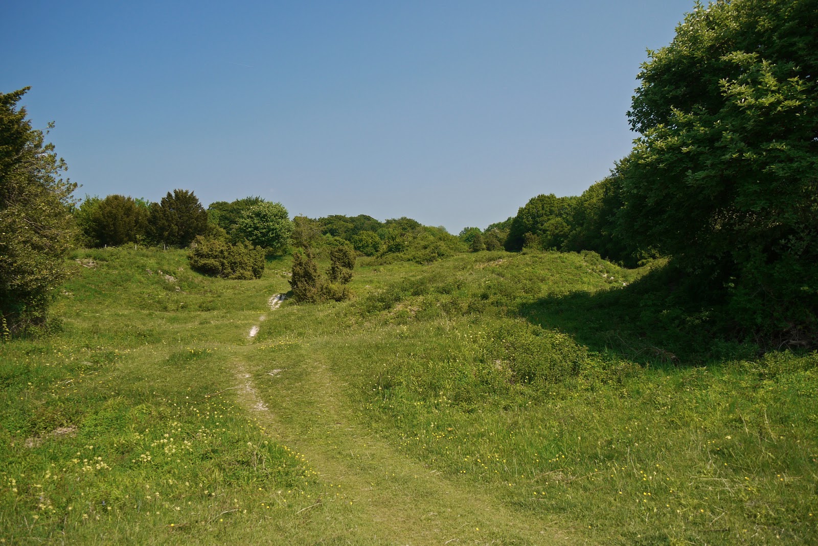 Walking in the country: Selborne and Noar Hill