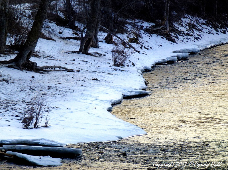 Montana 1 a day.com: Winter River Bank, Clark Fork River, Missoula, Montana