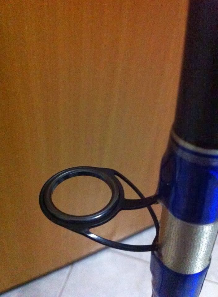 Canna Colmic Promessa xt 20/100g | uno squalo in blog