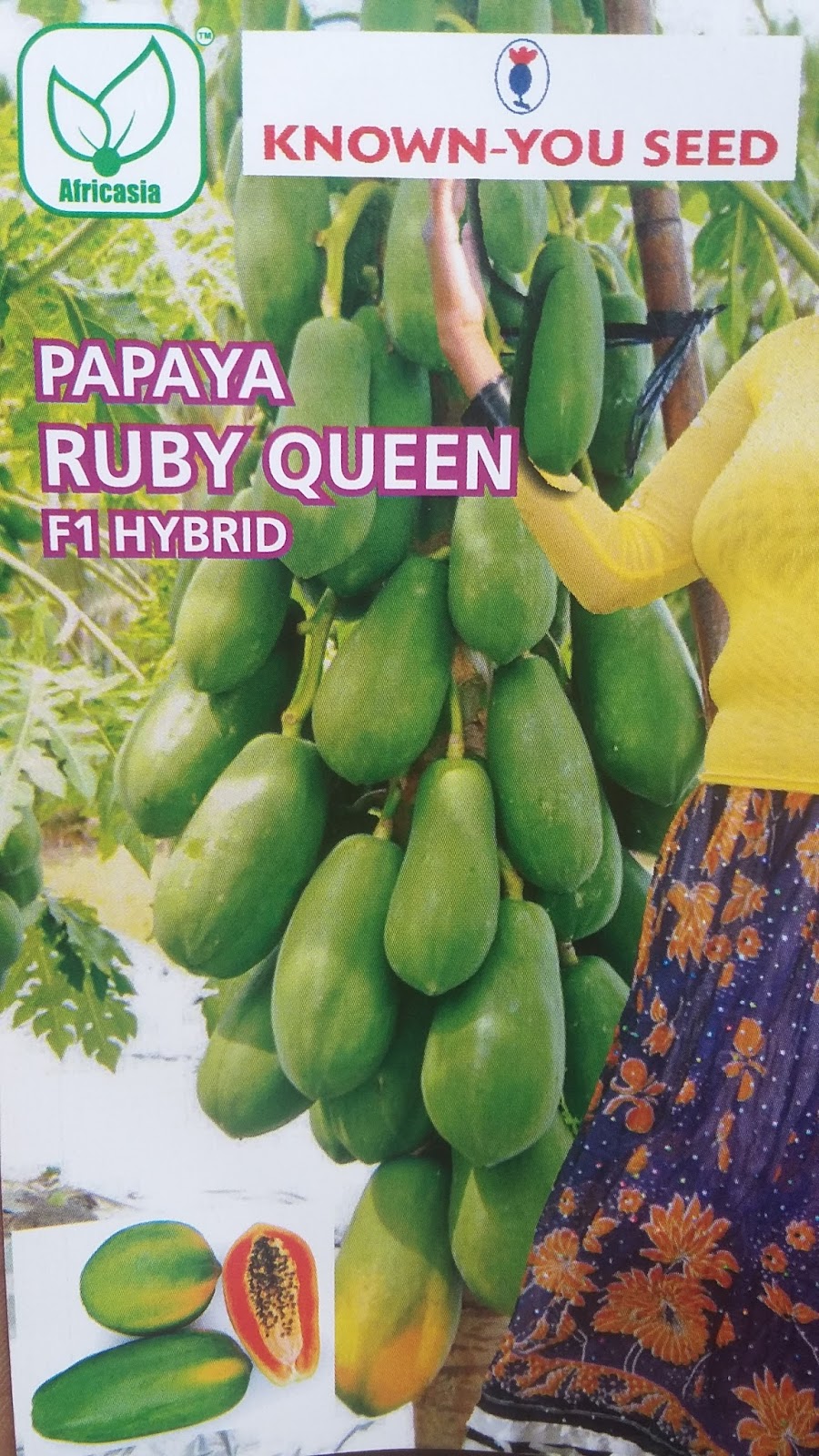 NEW PAPAYA MALKIA F1 HYBRID