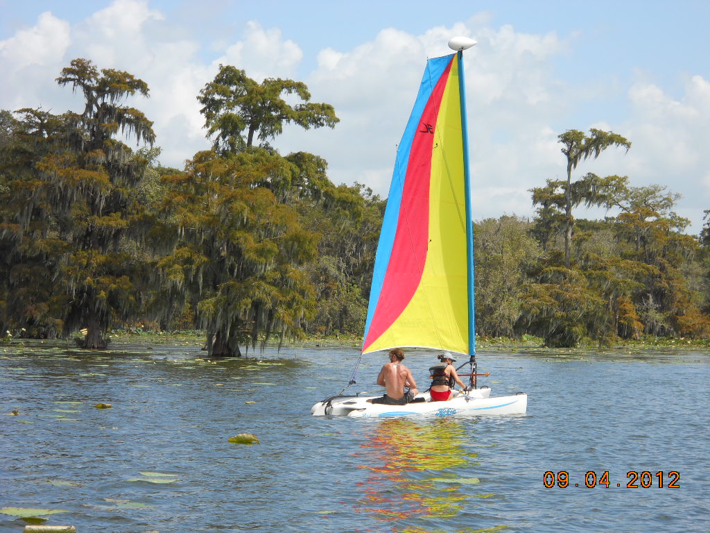 Louisiana Swamp Tours: Bald Eagles on Louisiana Swamp Tours