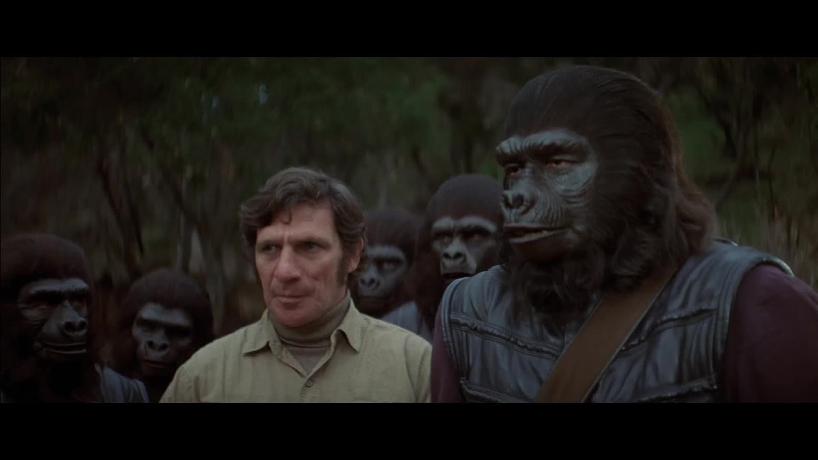 Archives Of The Apes: General Aldo