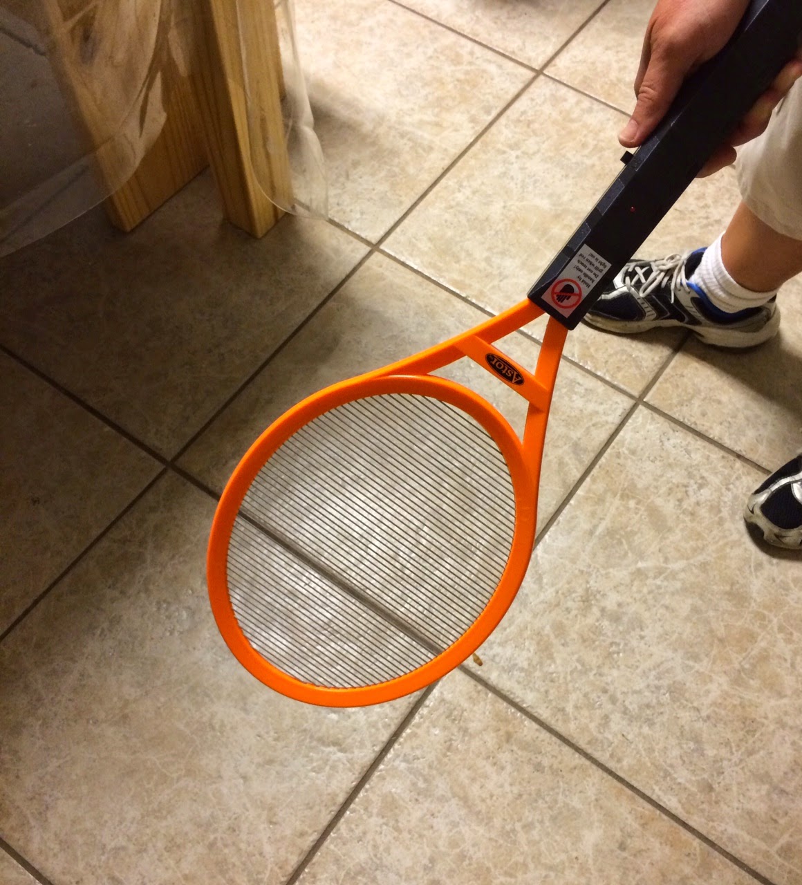 Always Blabbing: Astor Extra Large Electric Swatter Review