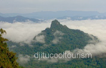The National Park of Bukit Baka- Bukit Raya Travel Borneo | Kalimantan ...