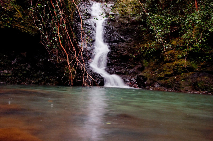 HikeOneHikeAll Hawaii: Laie 18 (Laie Falls)