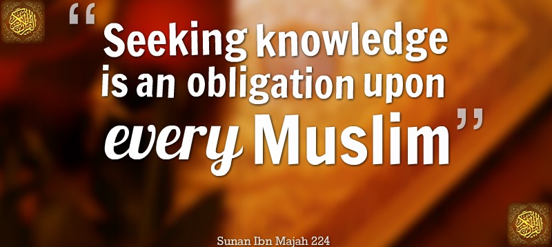 The Quran Knowledge's : Articles