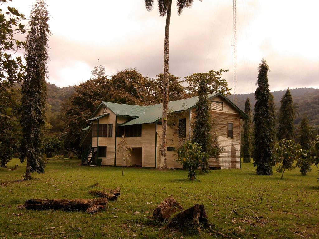 jose gonzalez: PRESENCIA DE DOROTHY HUGHES POPENOE EN TELA, 1925-1932