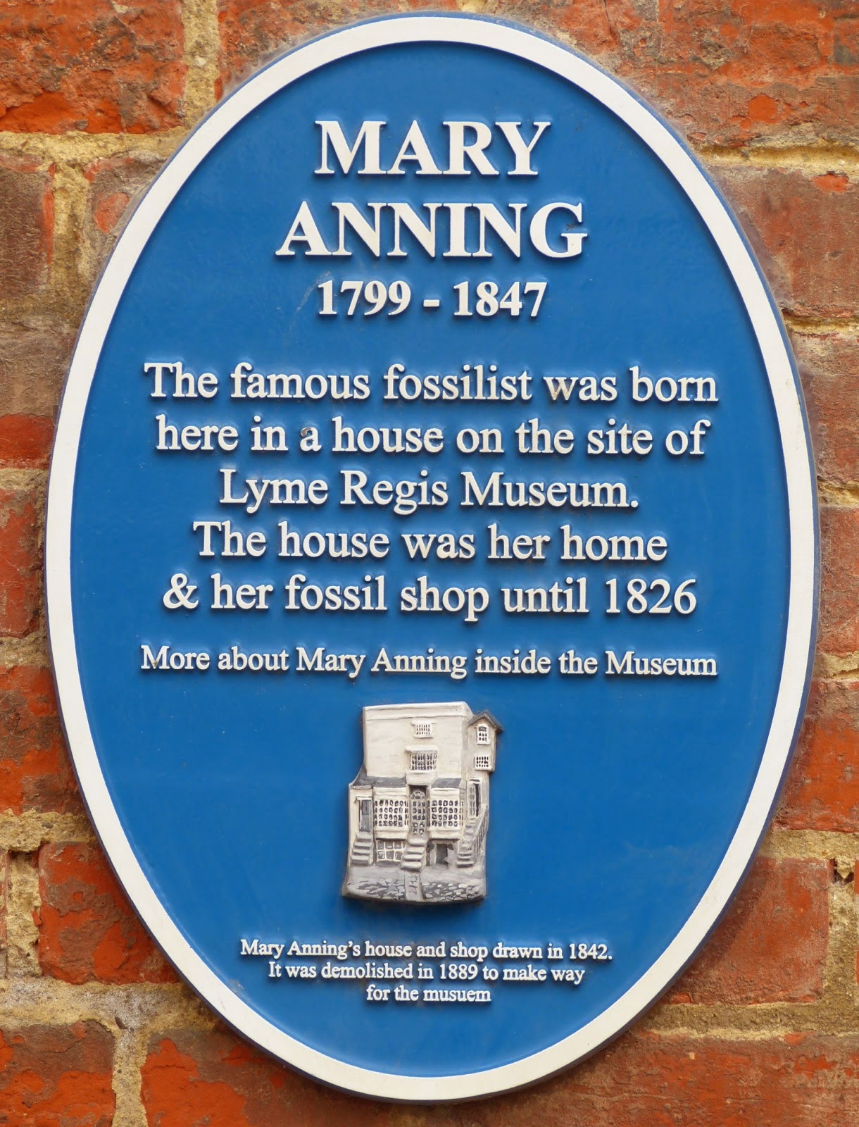 Mary Anning with remarkable intelligence | Elixir Of Knowledge