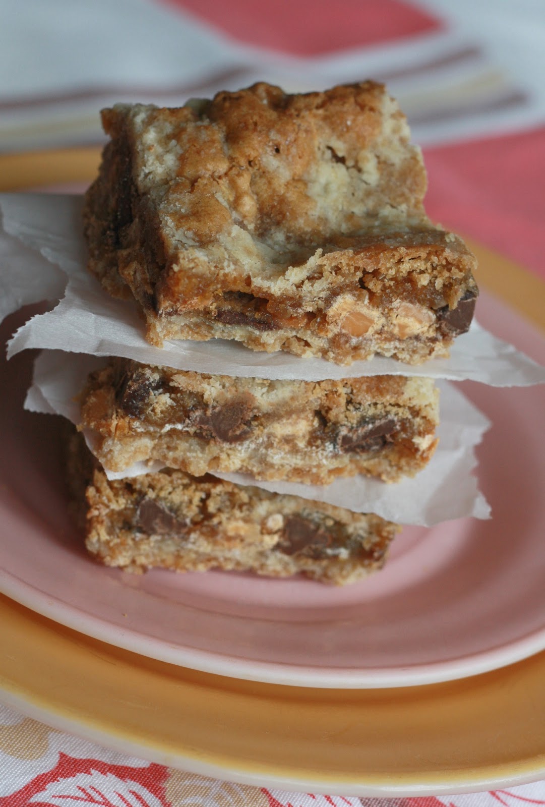 The Mother Load: Chocolate Chip Hash Bars