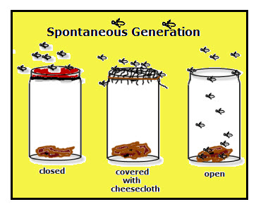 The Cracked Beaker: STEM SCIENCE 6-7-8: STEM 7/ Spontaneous Generation