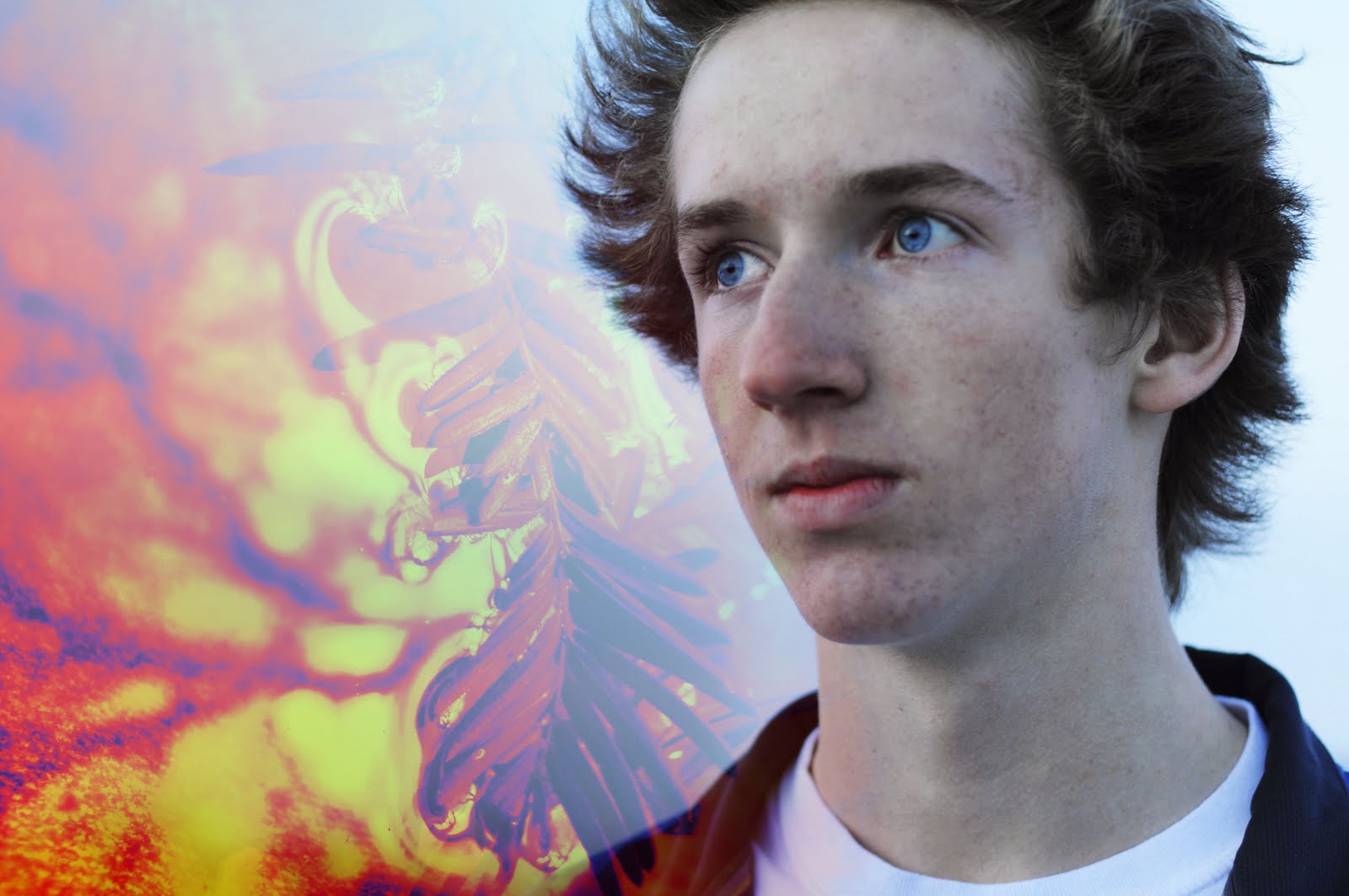 Jordan P's Digital Photo Blog: Solarisation, Gradient Map and Gradient Tool