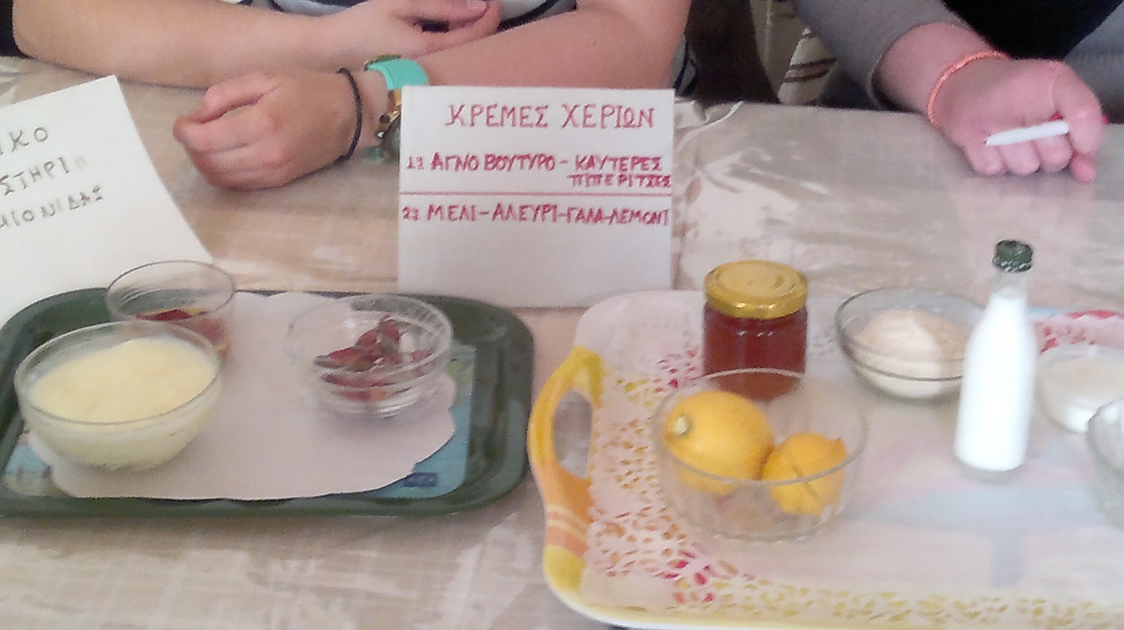 Ομάδα Εθελοντών Φροντίδα Οικισμών: ΠΡΟΣΤΑΣΙΑ , ΘΕΡΑΠΕΙΑ ΚΑΙ ΟΜΟΡΦΙΑ