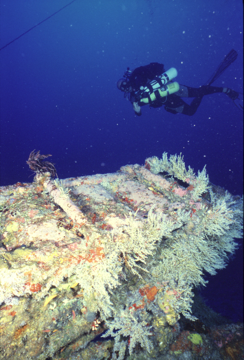 Mike Gerken: Evolution Underwater Imaging | Jan 14, 2012 - Mike's Top ...