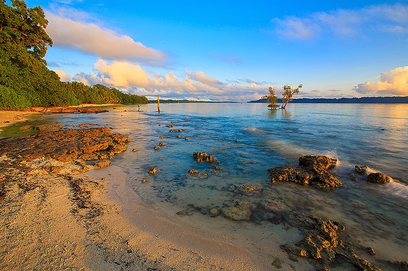 Travel Destinations: Neil Island- Another Pearl in Andaman and Nicobar