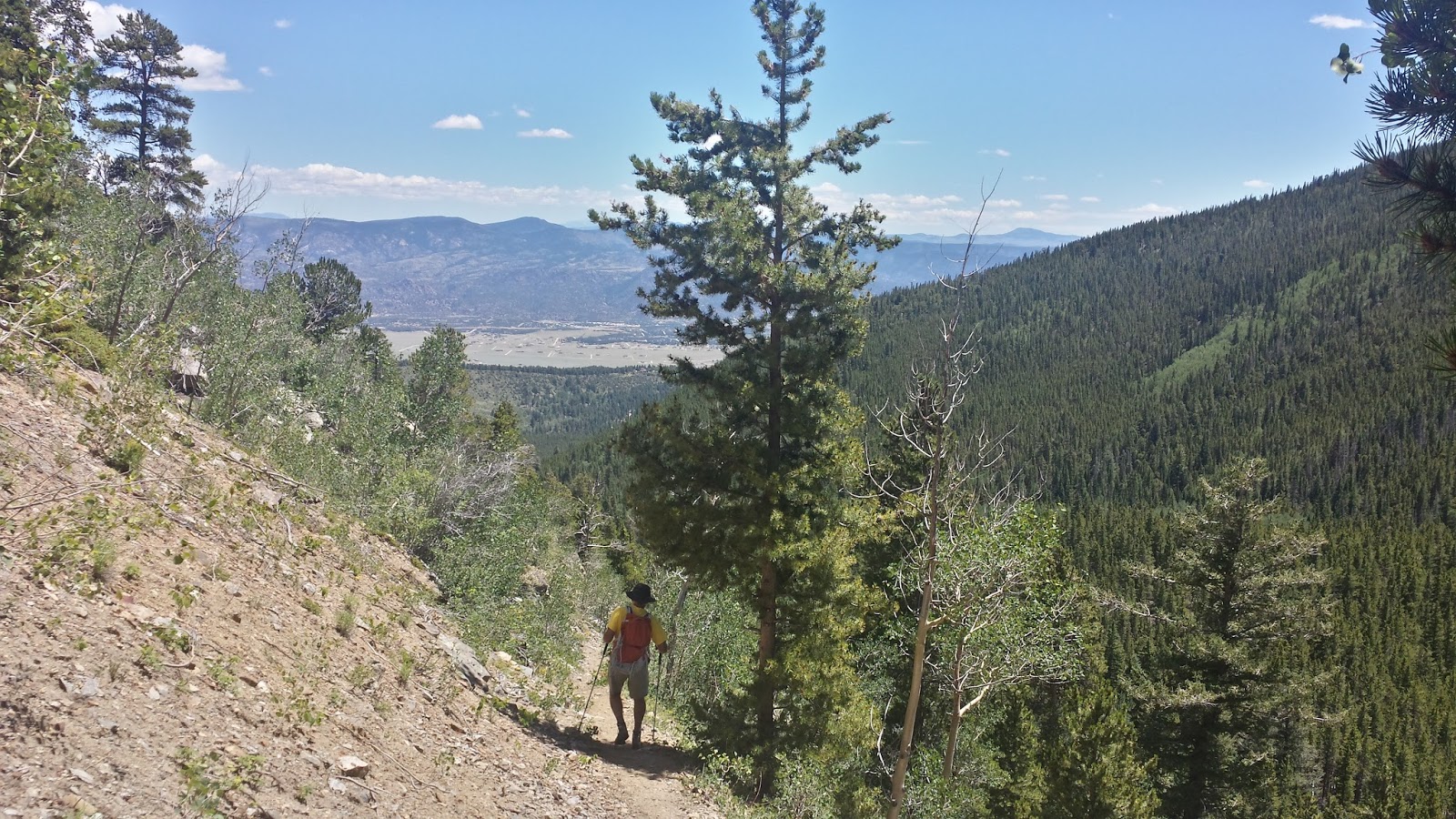 Wilderness Wanderings: Silver Creek-Colorado Trail