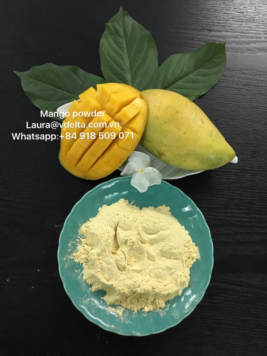 Mango powder - Extract powder suppliers