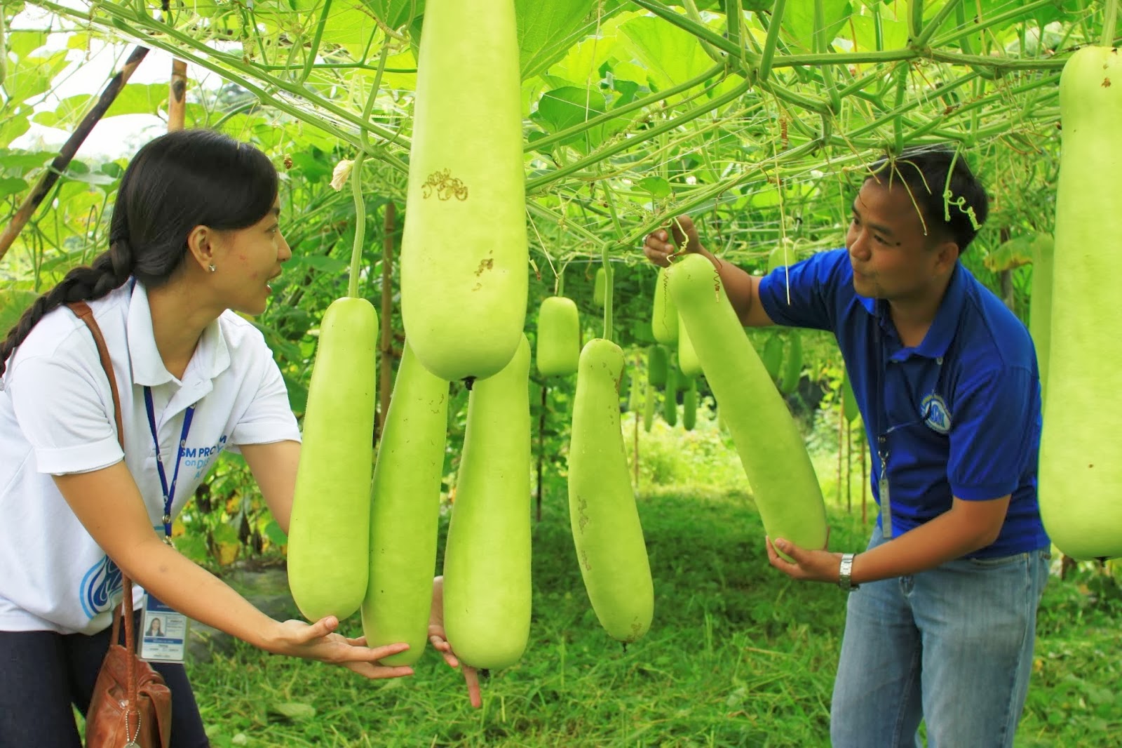 Kabuhayan sa Kabundukan