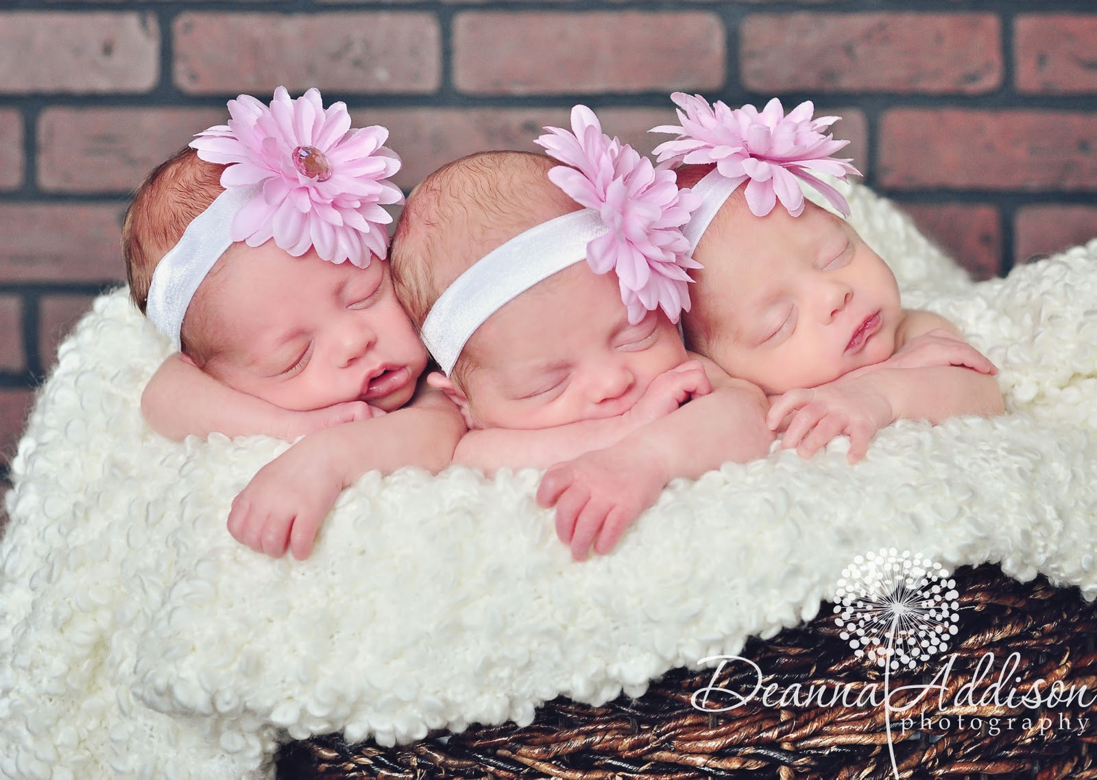 Deanna Addison Photography: The Abbe Triplets - Newborn