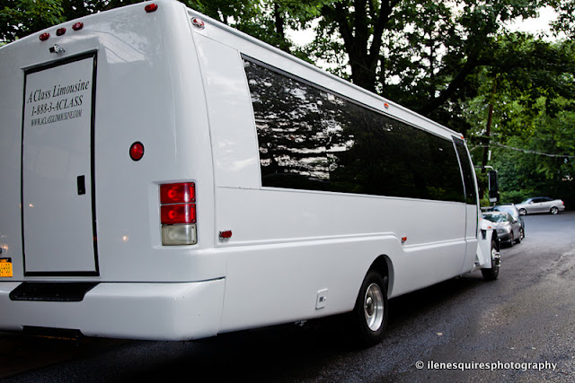Ilene Squires Photography: Staten Island Technical High School Prom ...