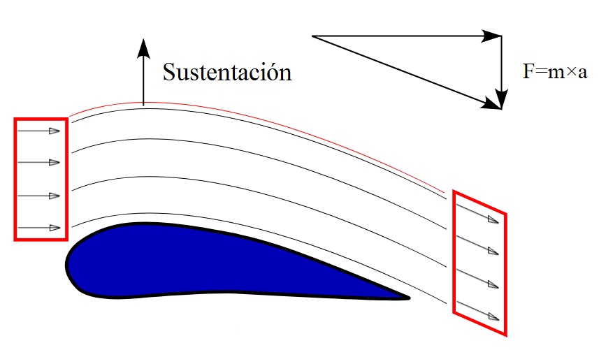 Comprender el vuelo de forma sencilla: el downwash