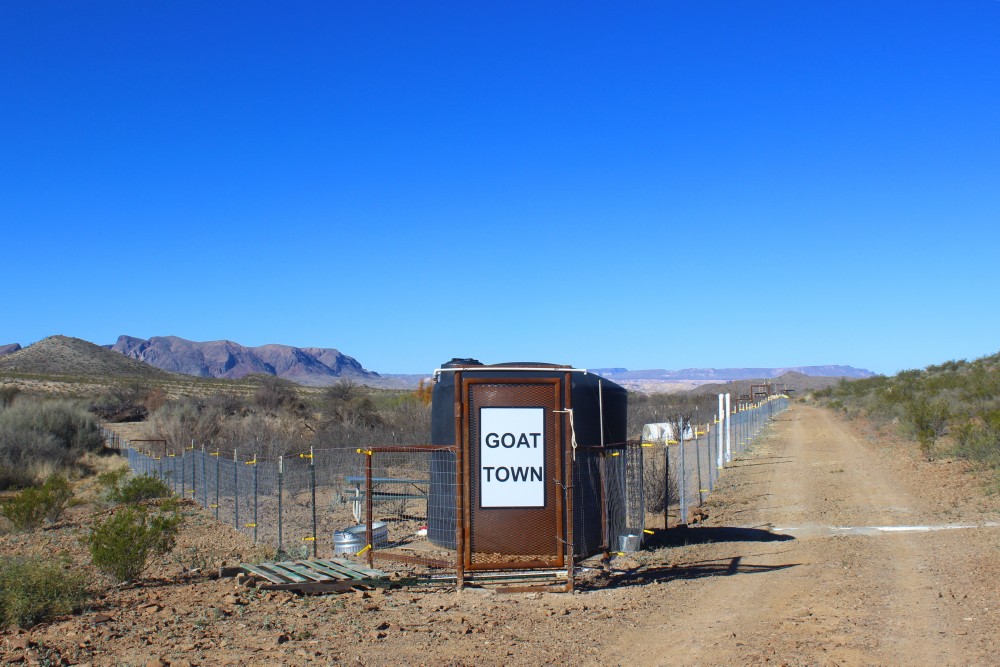 The Field Lab: GOAT TOWN