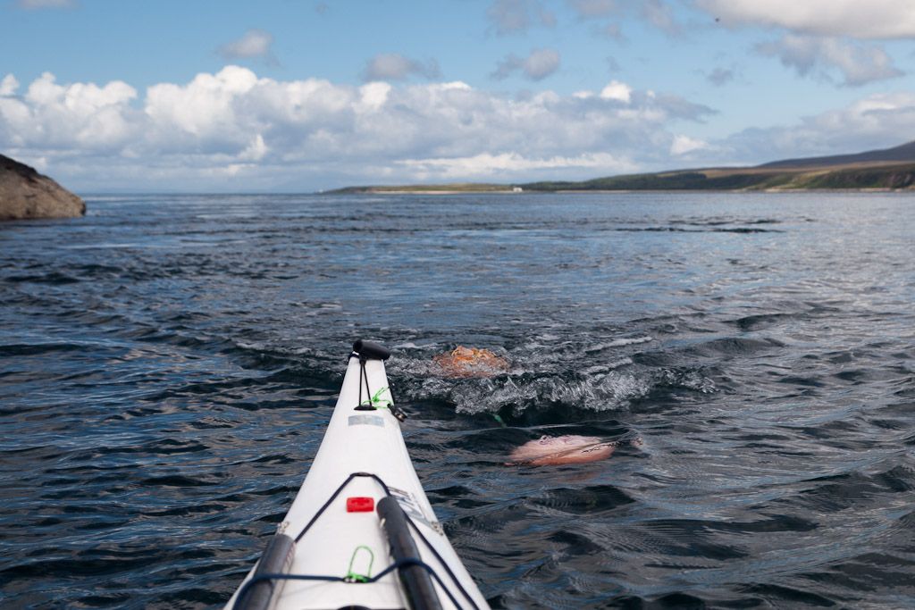 Sea kayaking with seakayakphoto.com: Close encounter with the RNLI ...