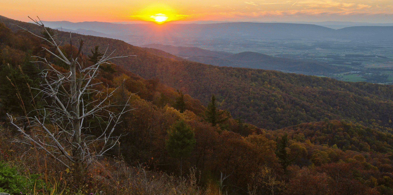 Journeys With Judy: Shenandoah National Park VA