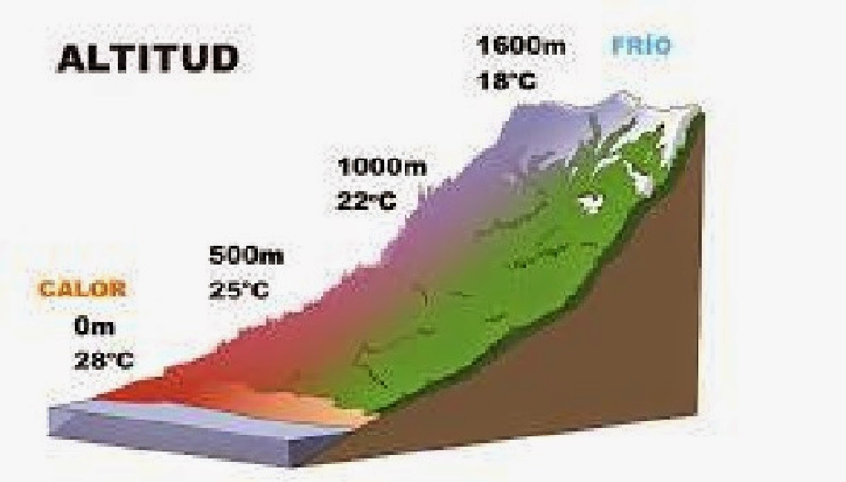 Esteban Ochoa - Ciencia y Tecnología: SÉPTIMO