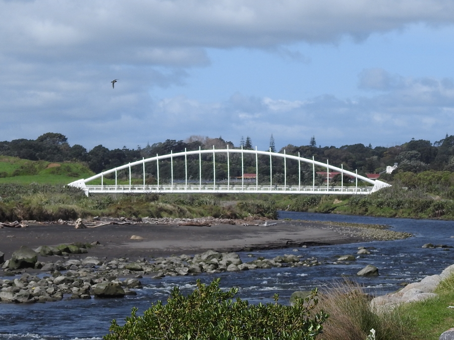 photographing New Zealand: Te Rewa Rewa Bridge
