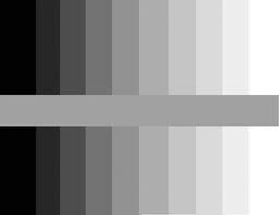 loriann signori : neutrals and simultaneous contrast