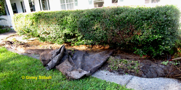 Green Gardening Matters: Rock-scaping in Florida: A good idea or not?