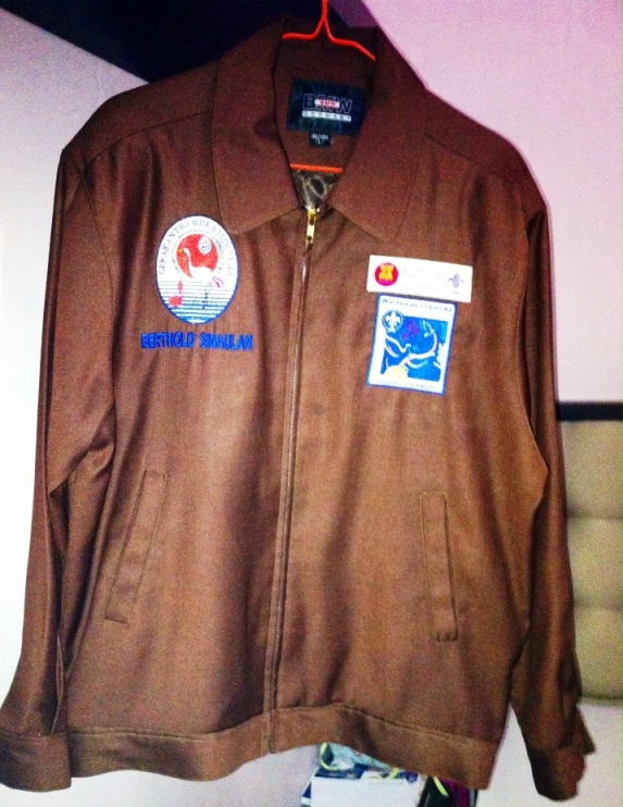 Scout Memorabilia: A Story of My Scout Jacket