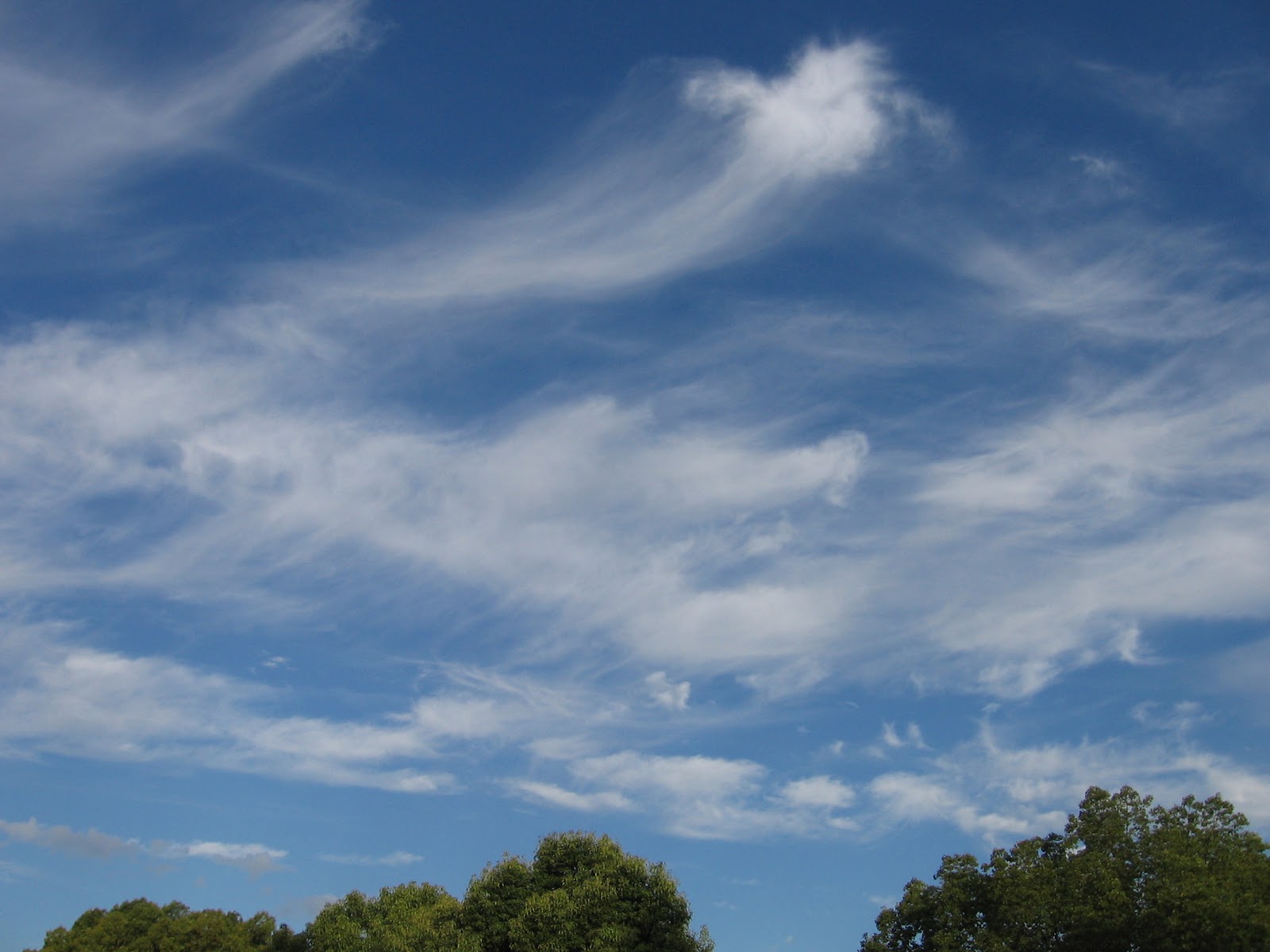 What Grows in Fullerton?: October skies