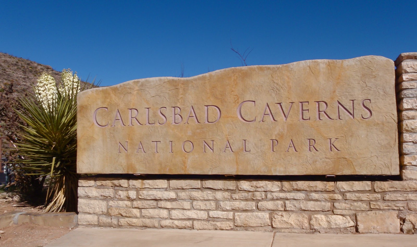 One Day in America: Carlsbad Caverns National Park, Carlsbad New Mexico