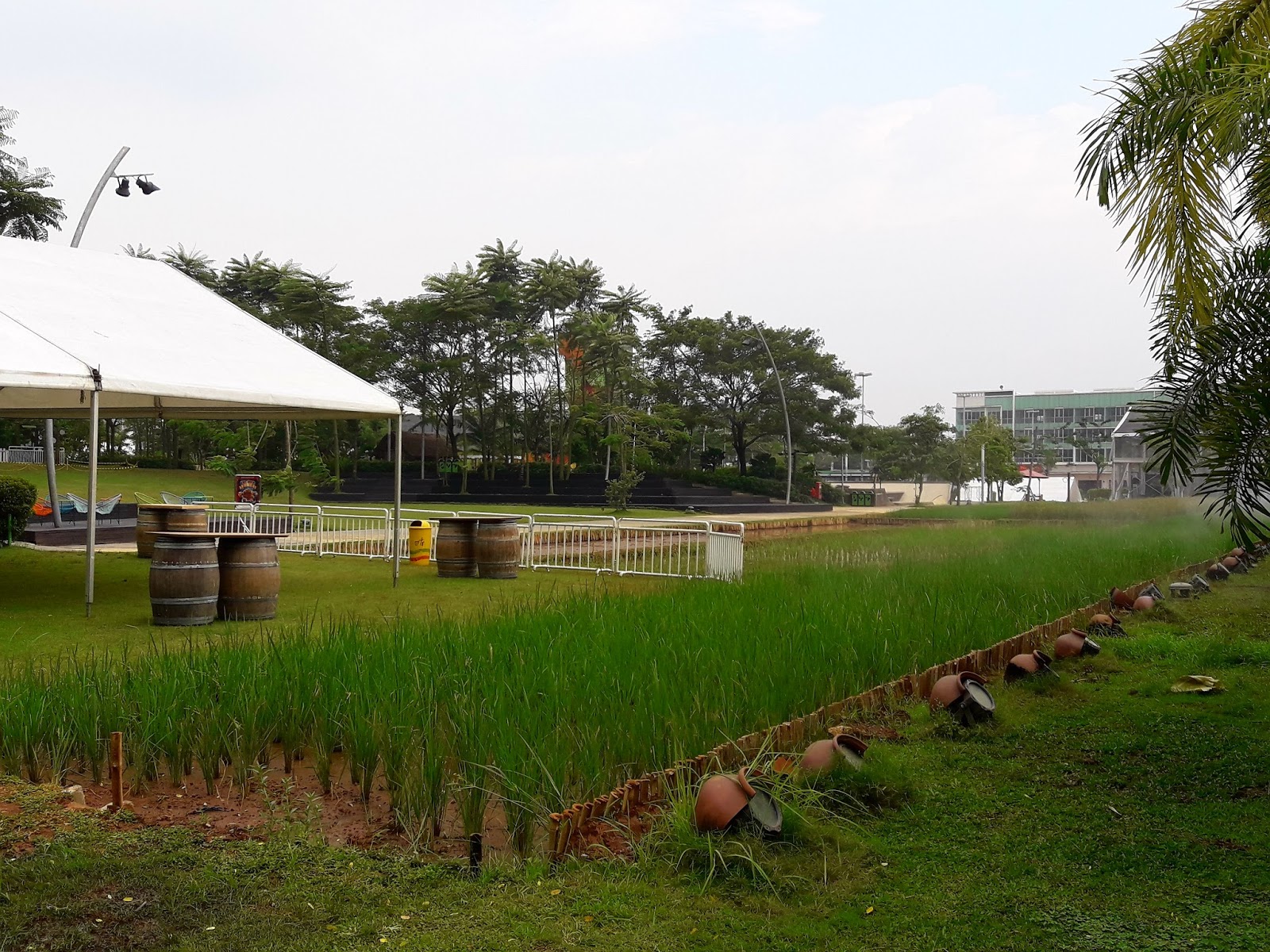 Scientia Square Park