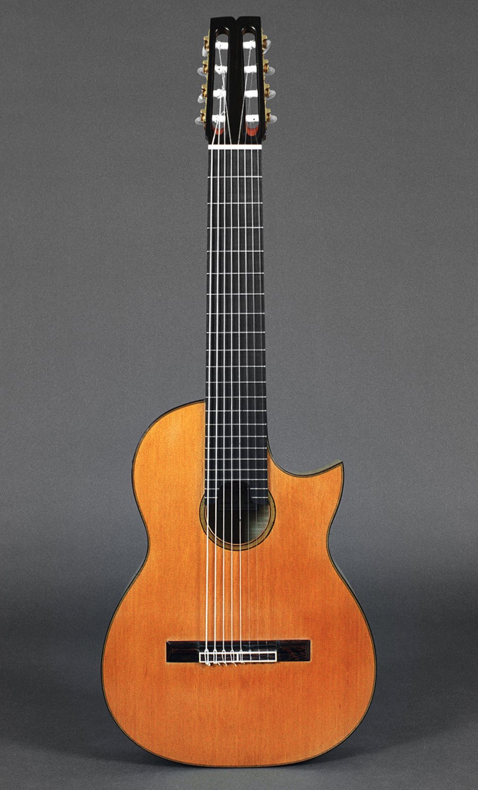 Guitarras Custom Construídas Por Rodolfo Cucculelli Luthier 8 Struny