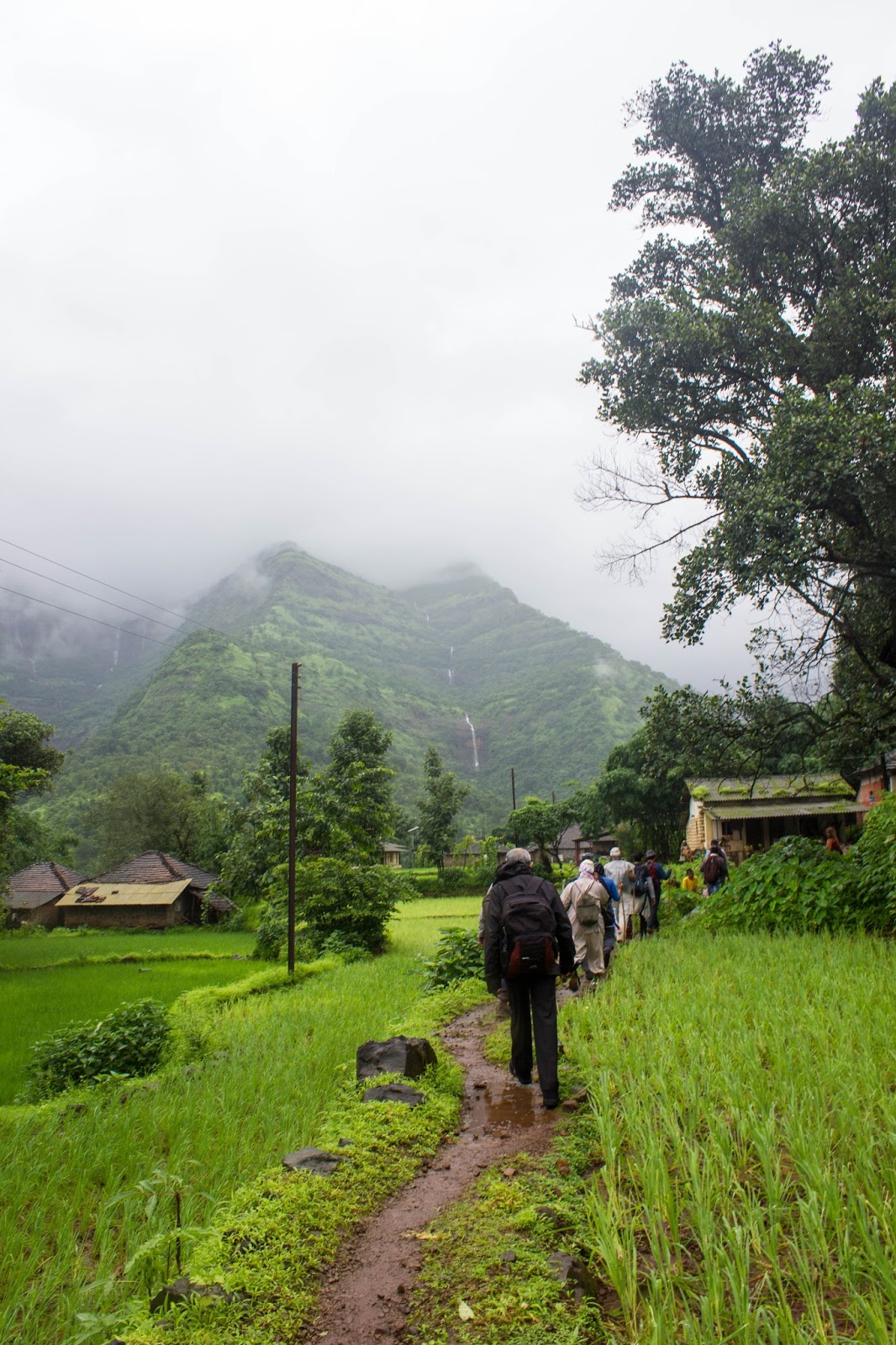 ASWAL KHIND TREK ~ Monsoon Trekker